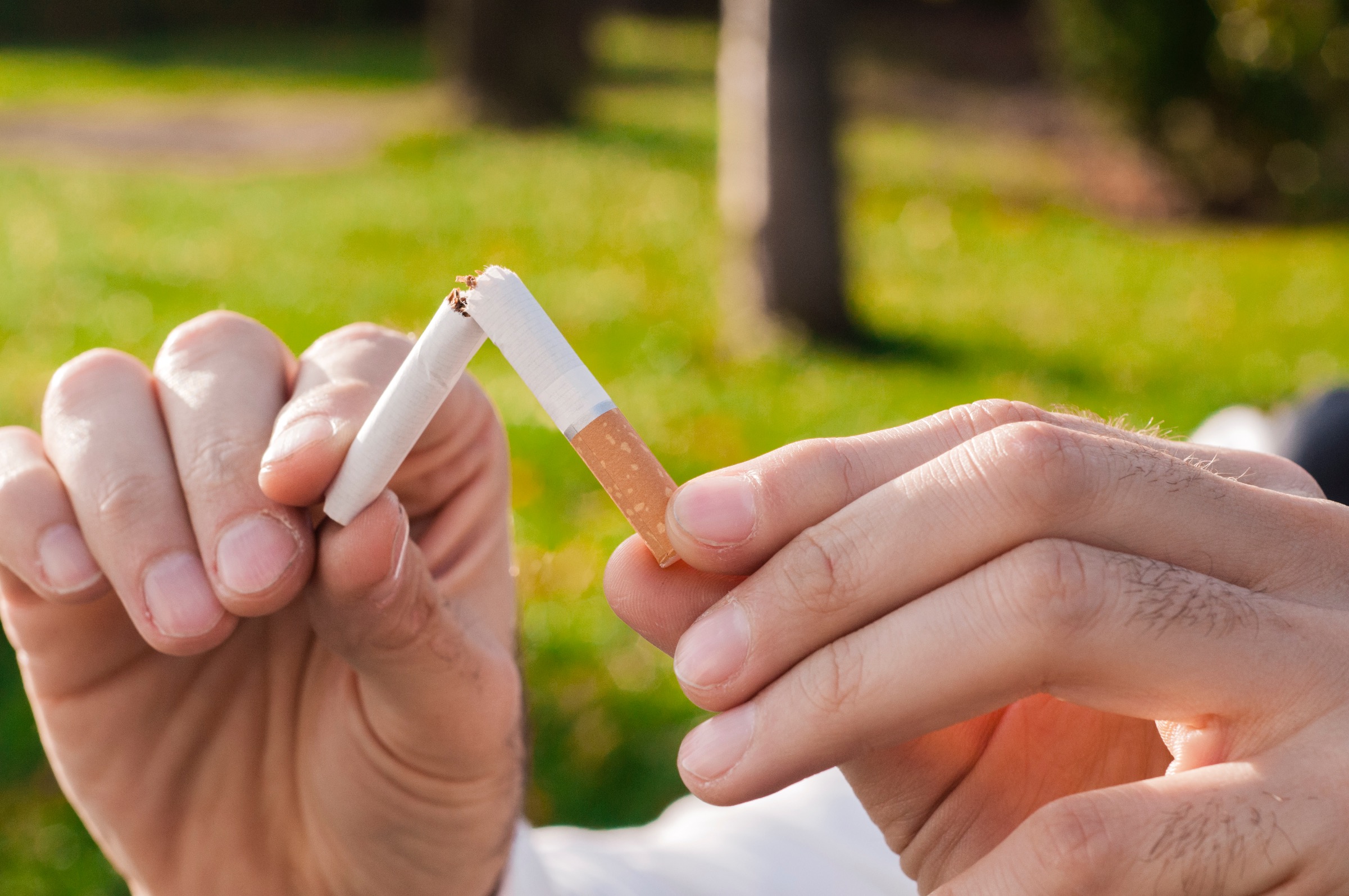De voordelen van stoppen met roken in de lente - Prostop helpt!